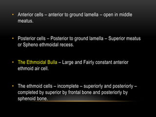 Ethmoid bone anatomy | PPTX