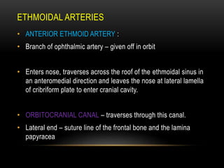 Ethmoid bone anatomy | PPTX