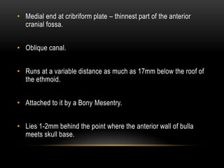 Ethmoid bone anatomy | PPTX