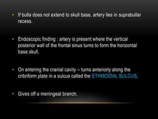 Ethmoid bone anatomy | PPTX