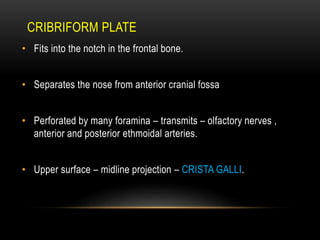 Ethmoid bone anatomy | PPTX
