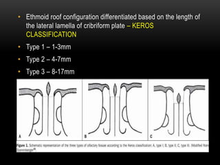 Ethmoid bone anatomy | PPTX