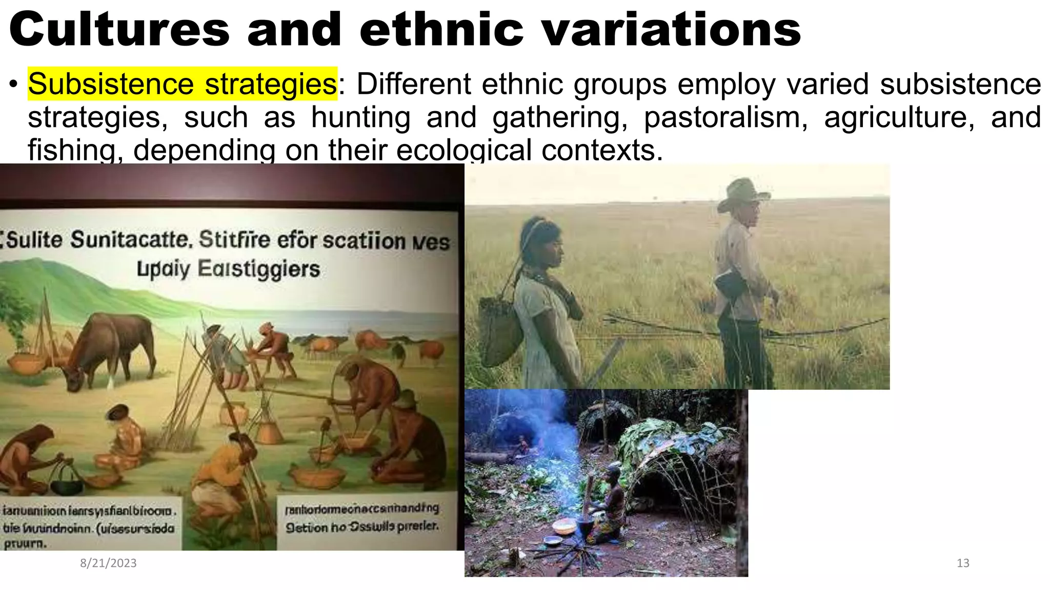 Ethnic and cultural variations.pptx