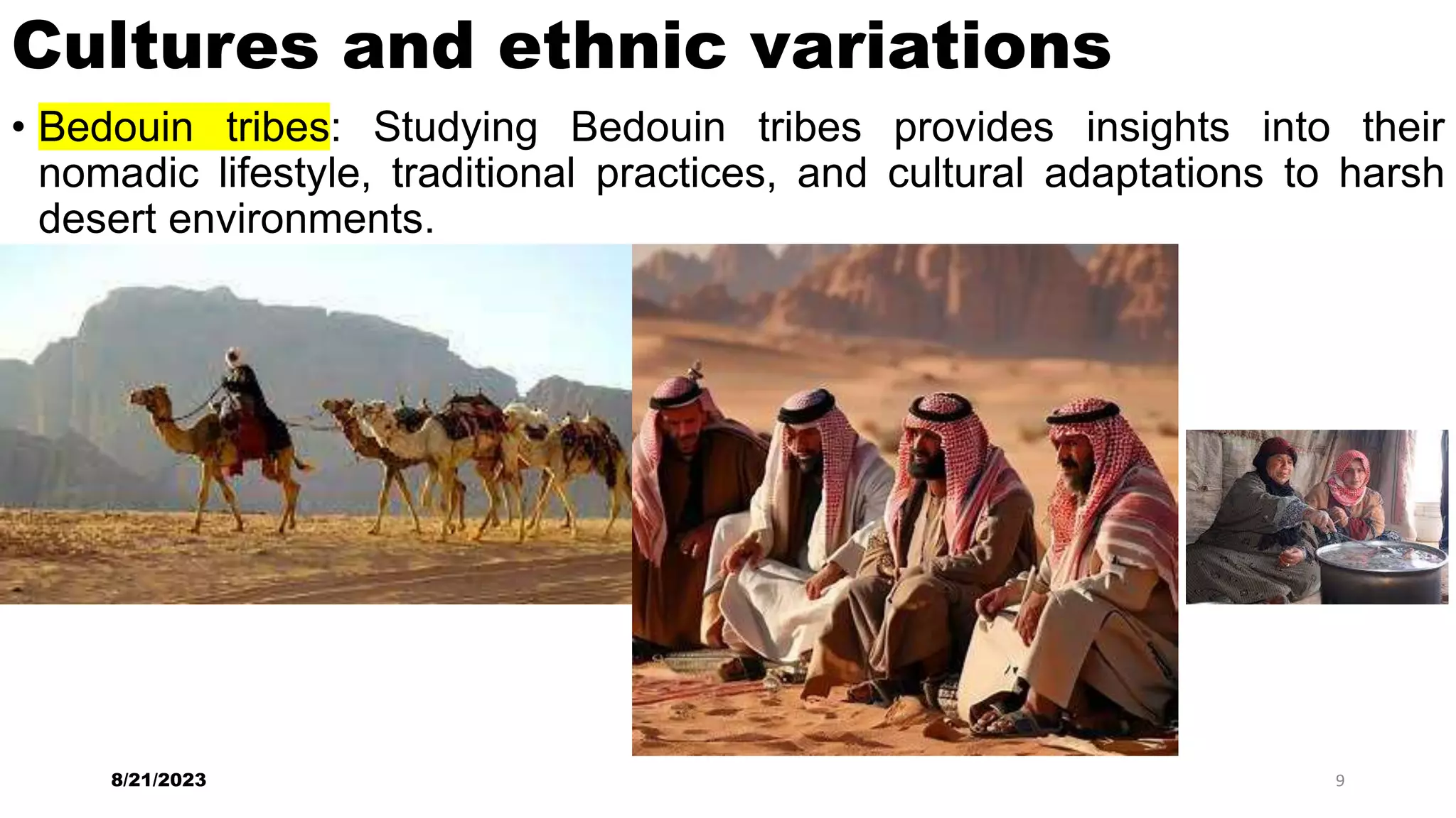 Ethnic and cultural variations.pptx