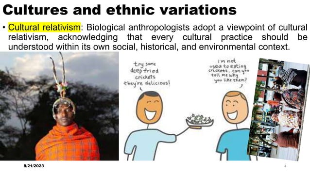 Ethnic and cultural variations.pptx