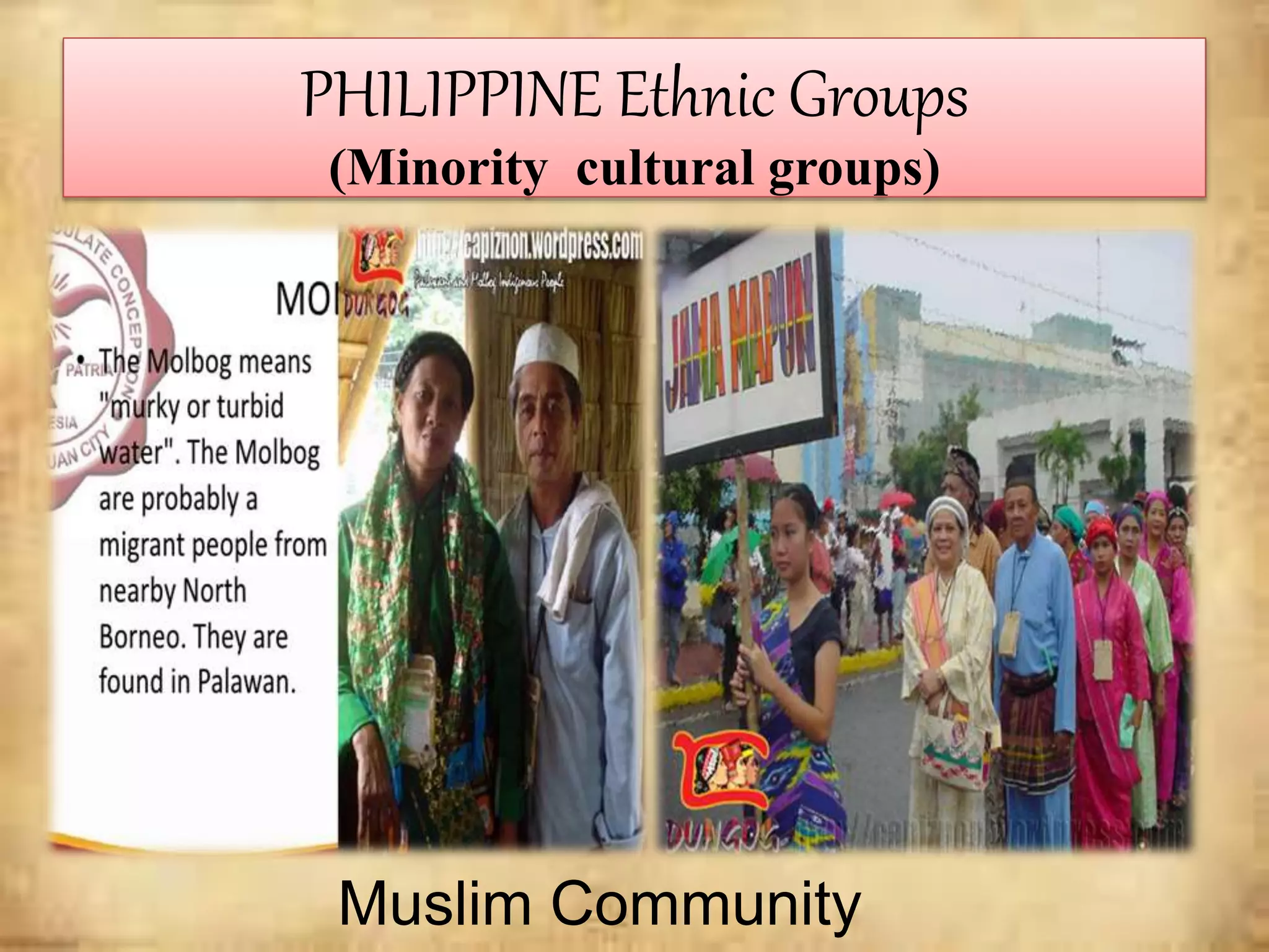 Ethnic groups | PPTX
