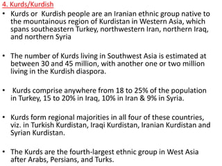 ethnic groups.pptx
