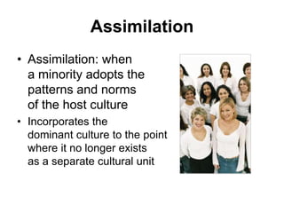 Ethnicity and race | PPTX