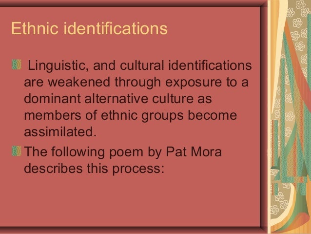 What Is Ethnic Literature