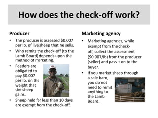 Ethnic marketing options for lamb and mutton | PPT