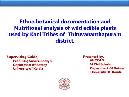 Ethno botanical documentation and Nutritional analysis of wild edible plants used by Kani Tribes ...