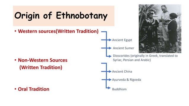 Ethnobotany: Definition, Development, Impact on traditional medicines ...