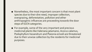Ethnobotany | PPTX