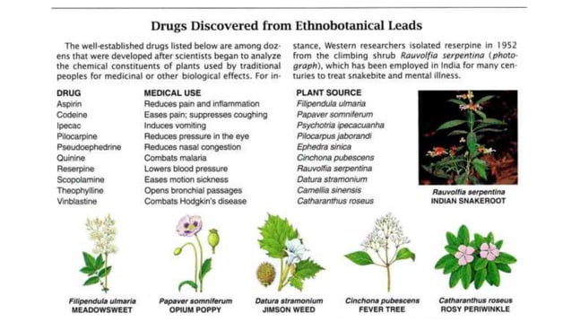 Ethnobotany of plant based drugs. .pptx