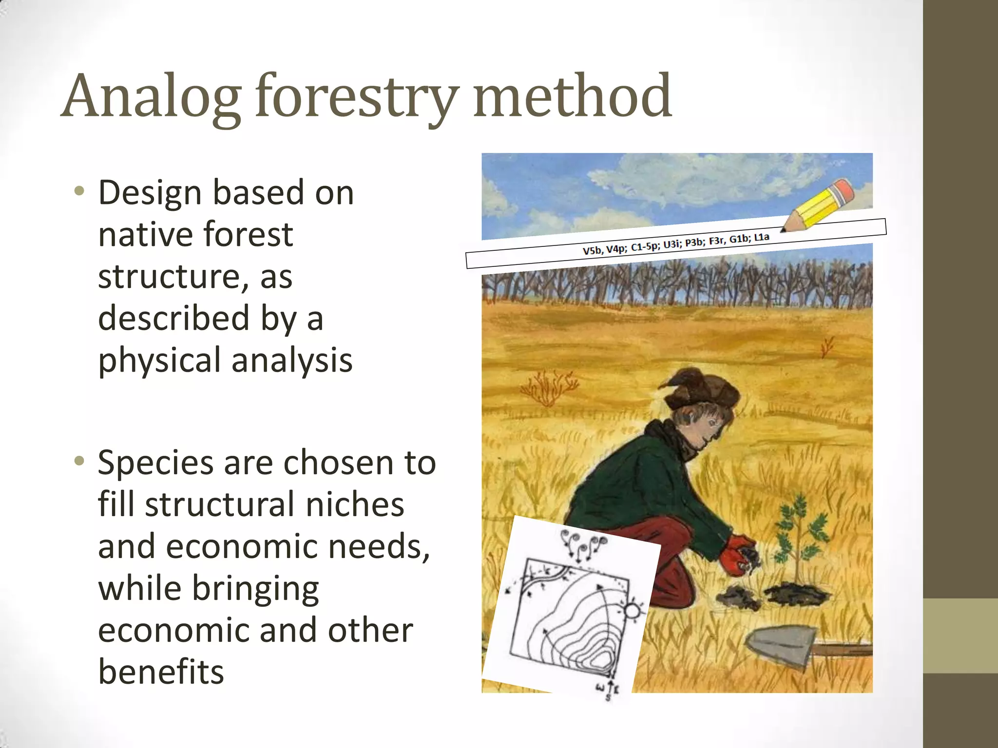 Ethnobotany and Analog Forestry | PPTX