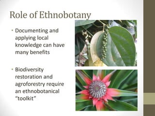 Ethnobotany and Analog Forestry | PPT