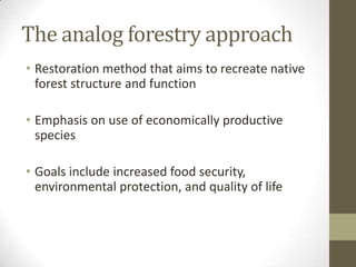Ethnobotany and Analog Forestry | PPTX