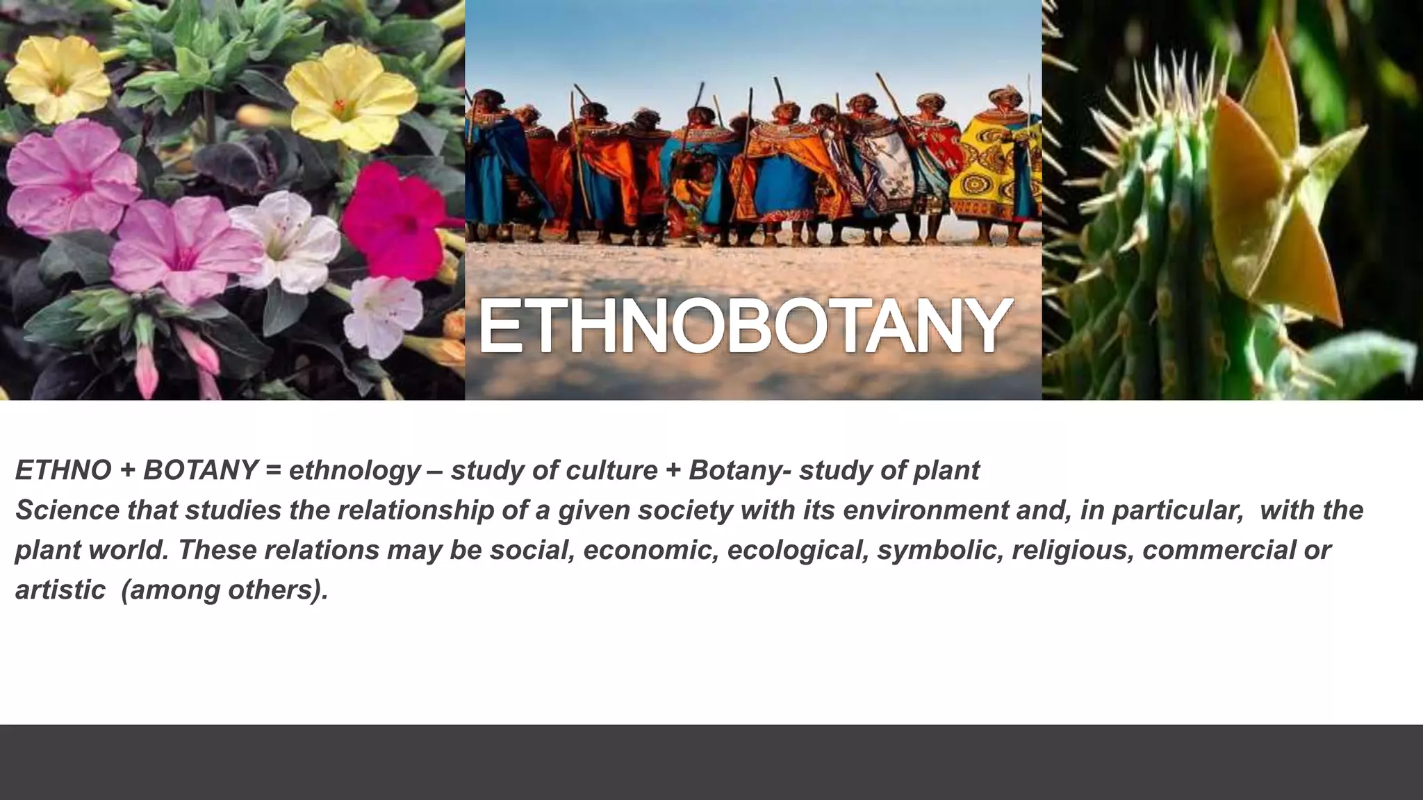 Ethnobotany and ethnopharmacology | PPTX
