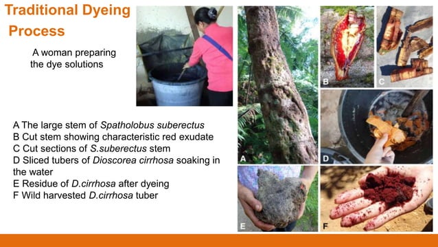 Ethnobotany and ethnopharmacology | PPTX | Herbs and Supplements ...