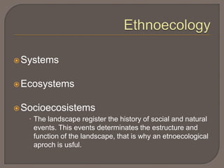 Ethnoecology of Yucatec Mayas | PPTX
