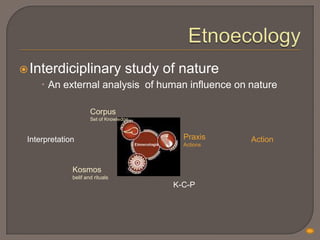 Ethnoecology of Yucatec Mayas | PPTX