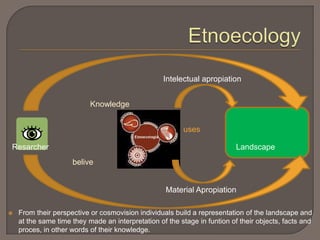 Ethnoecology of Yucatec Mayas | PPTX