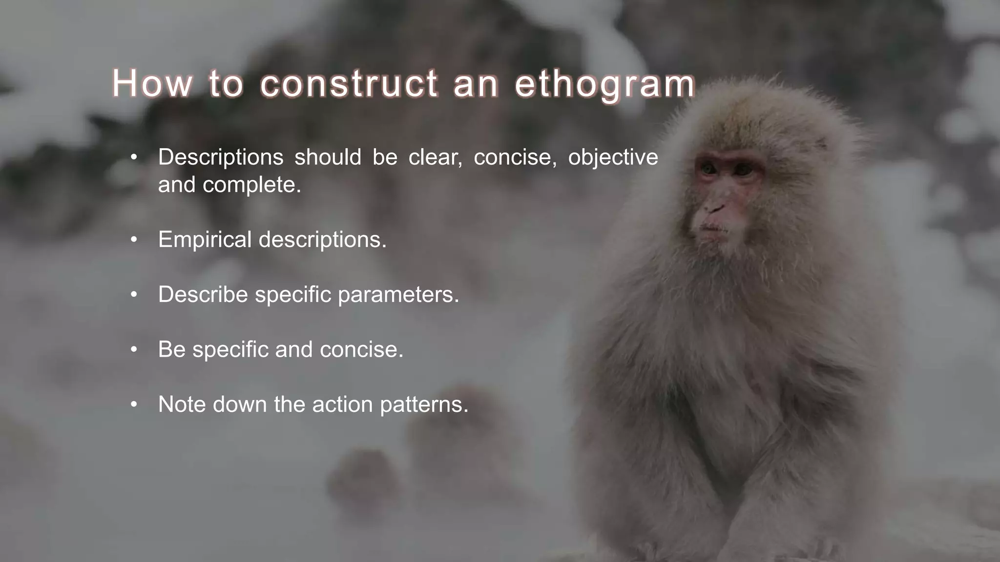 Ethogram_PPT.pptx