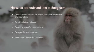 Ethogram_PPT.pptx