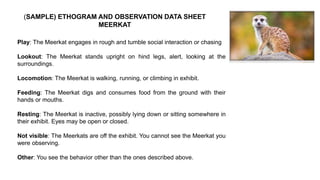 Ethogram_PPT.pptx