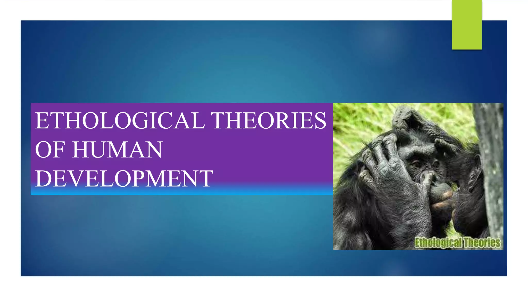 Ethological theories.pptx