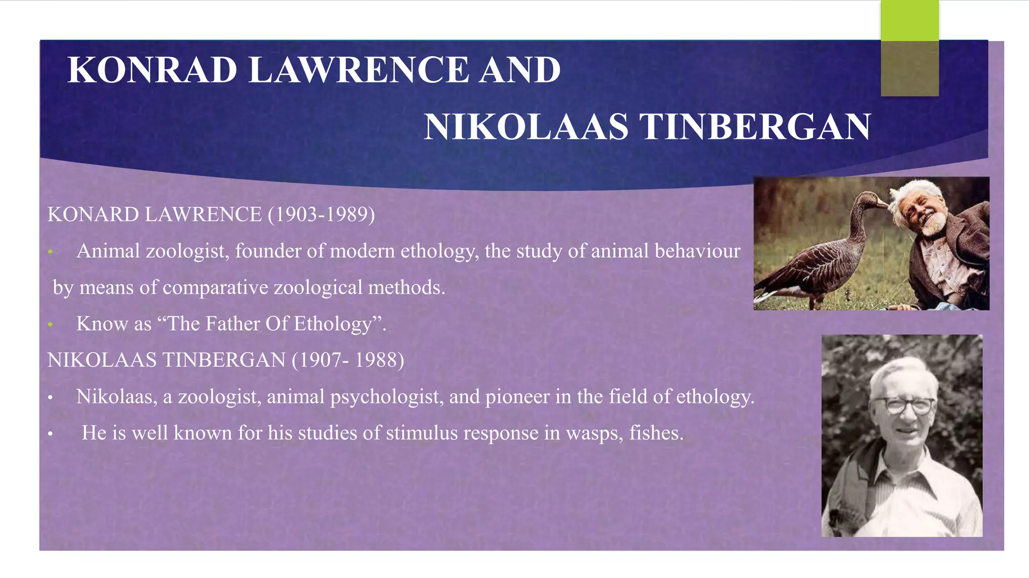 Ethological theories.pptx