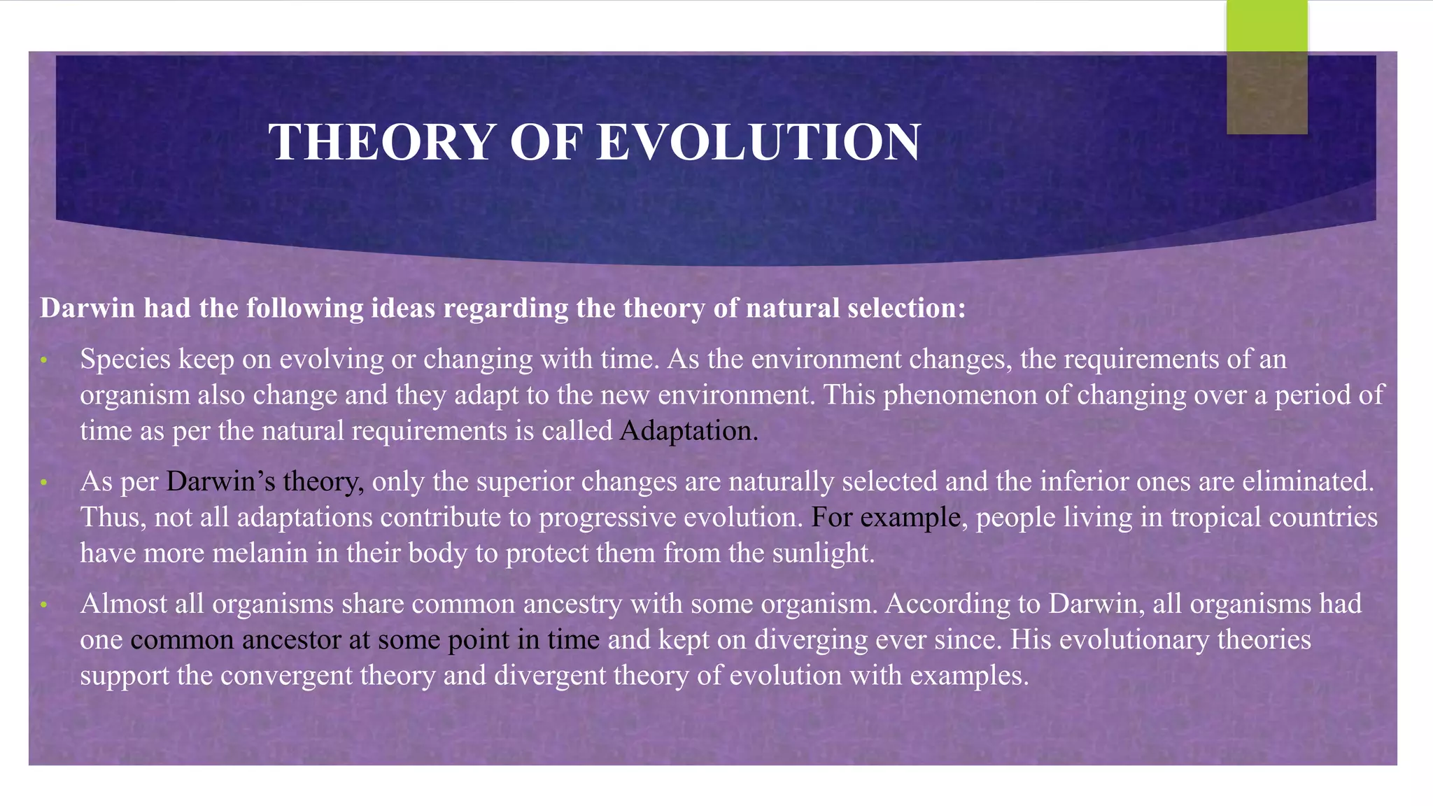 Ethological theories.pptx