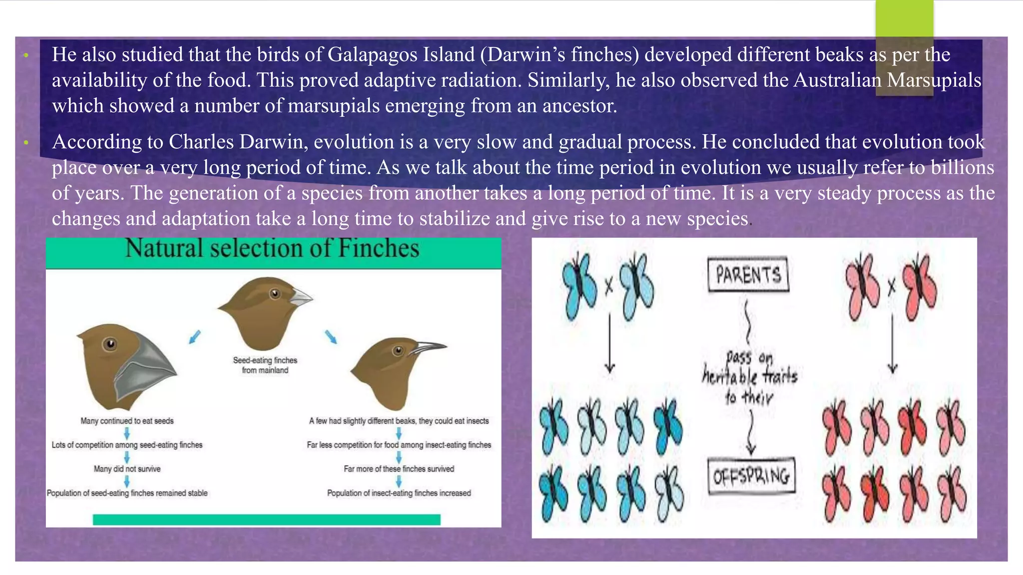 Ethological theories.pptx