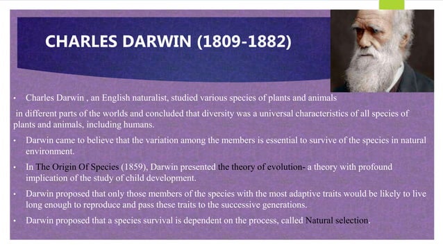 Ethological theories.pptx | Genetics | Science
