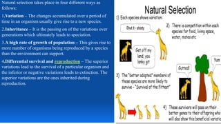 Ethological theories.pptx