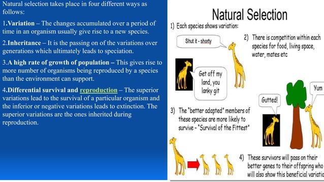 Ethological theories.pptx | Genetics | Science