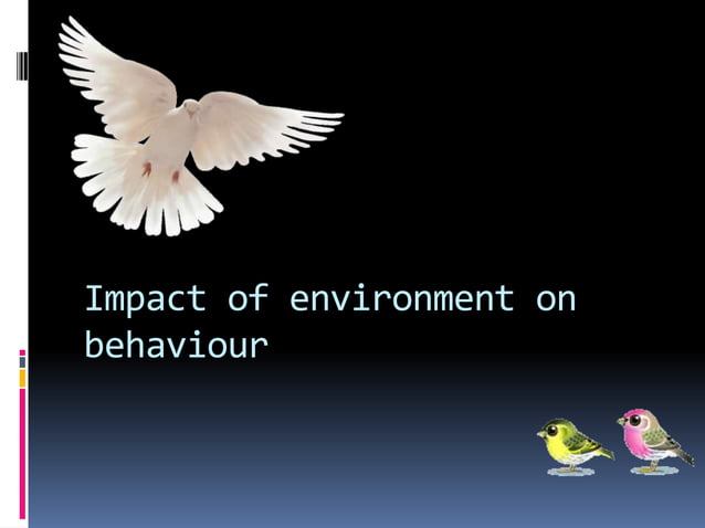 Ethology: Development of Animal Behavior | PPTX