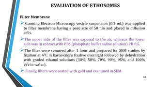 Ethosome | PPTX