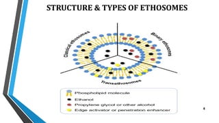 Ethosome | PPTX