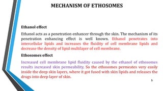 Ethosome | PPTX