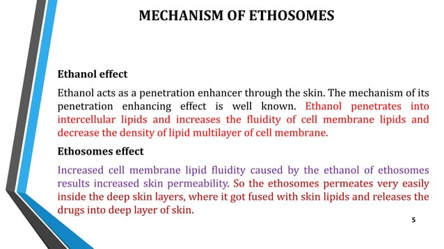 Ethosome | PPTX | Skin Care | Beauty
