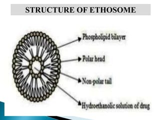 Ethosome : A Novel Drug Delivery System | PPT