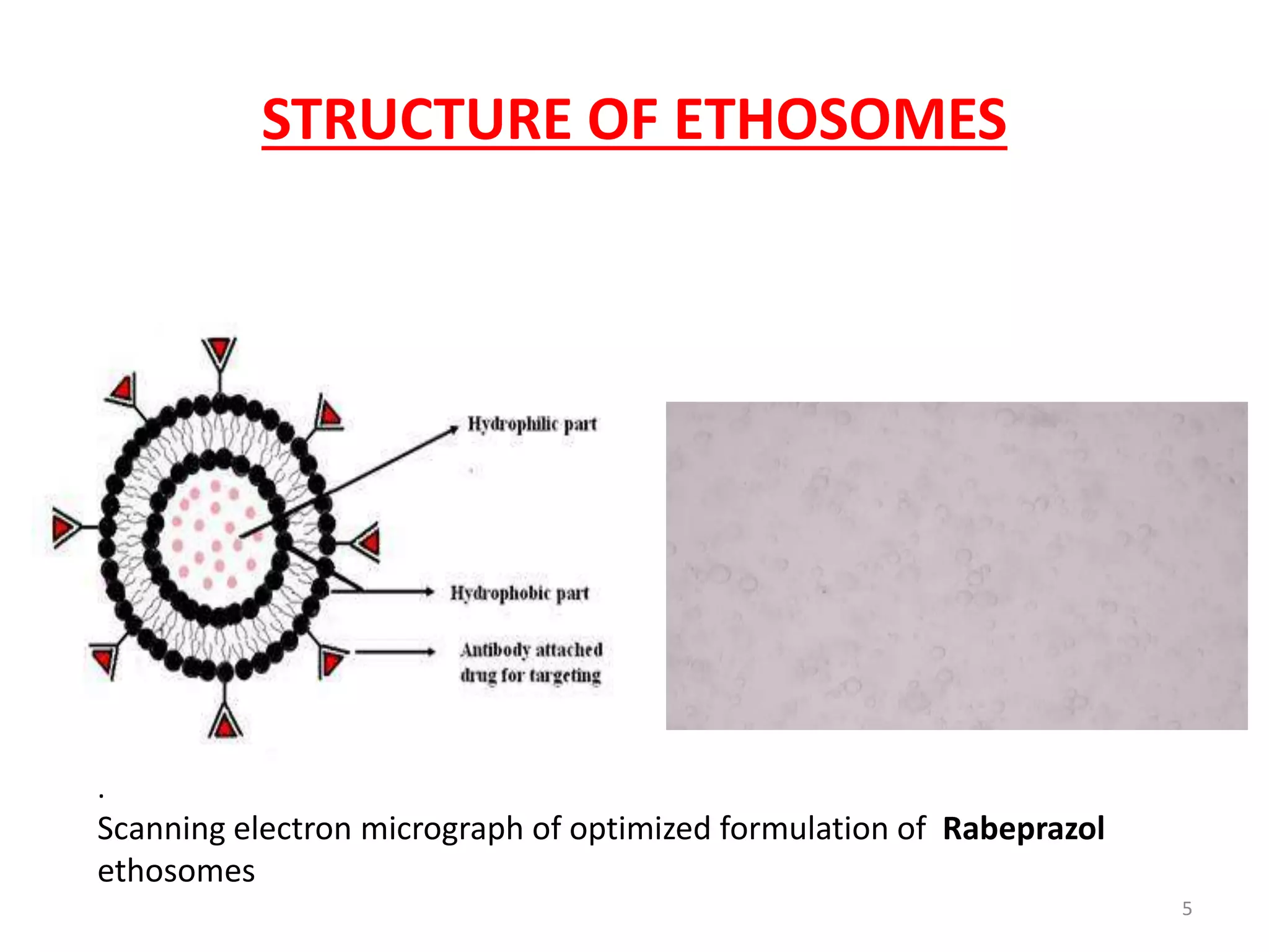 Ethosome as novel drug delivery system | PPTX