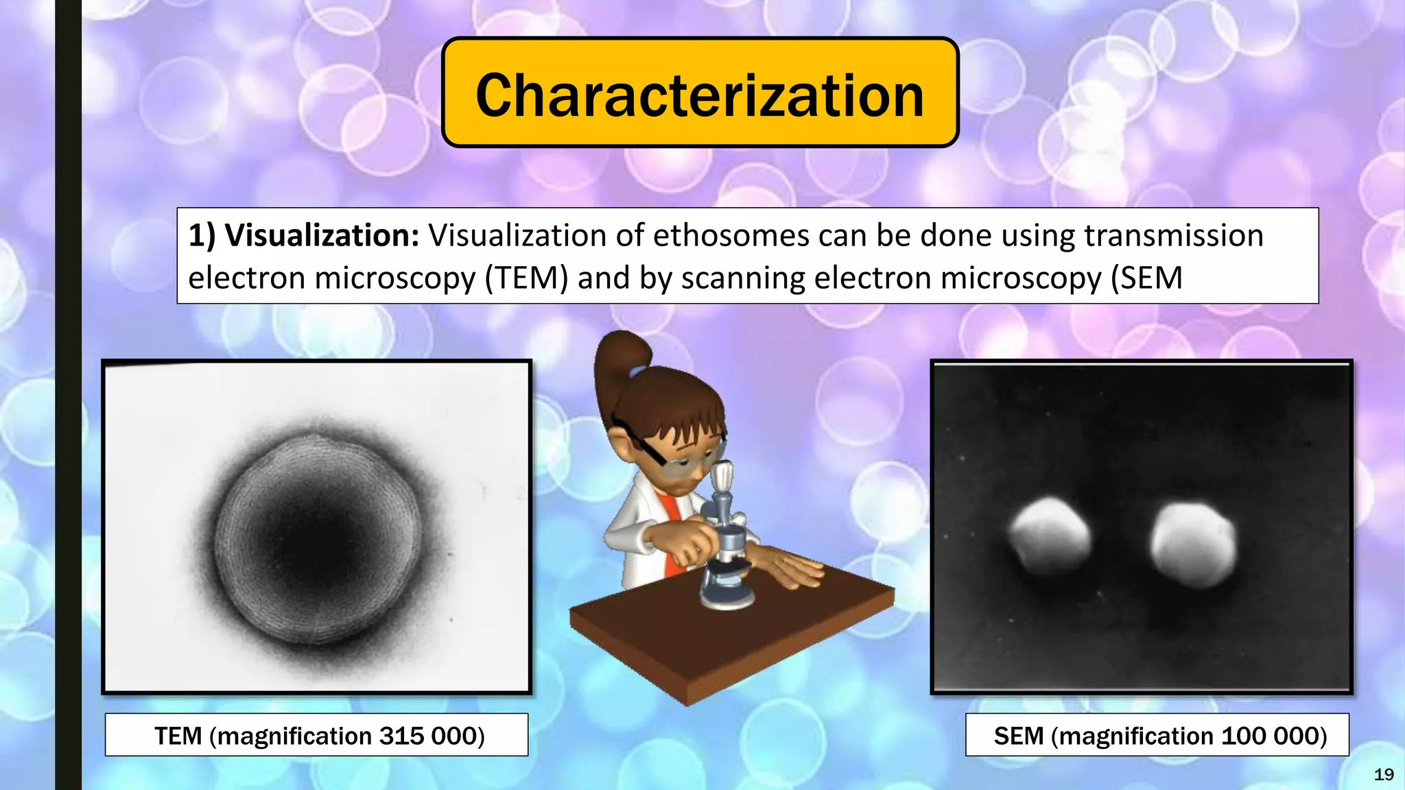 Ethosomes A Noval Drug Delivery System | PPSX