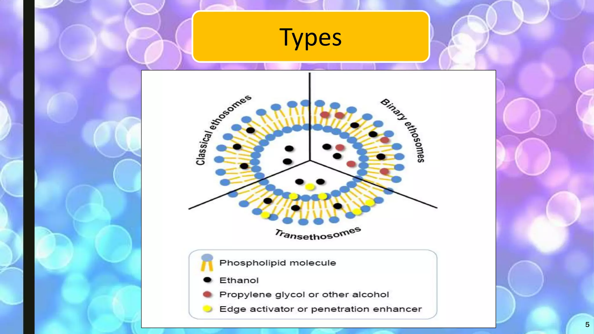Ethosomes A Noval Drug Delivery System | PPSX