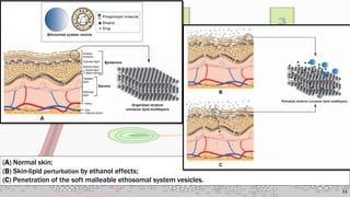 Ethosomes A Noval Drug Delivery System | PPSX