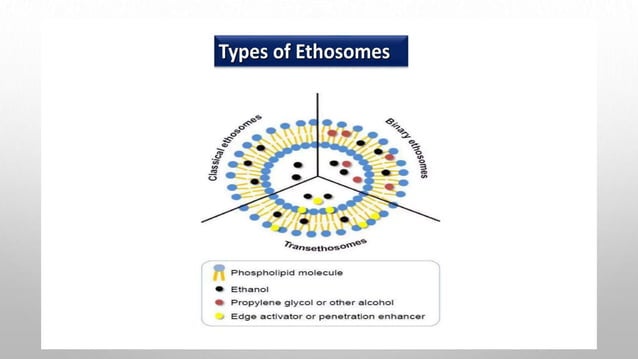ethosomes final.pptxEthosomes are phospholipid nanovesicles used for ...