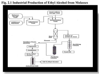 Ethyl alcohol production ppt | PPTX