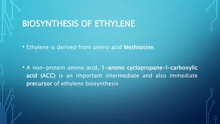 Ethylene | PDF