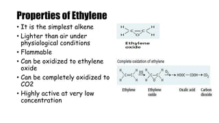 Ethylene effect on fruits and vegetables - By Maha Hussien | PPTX
